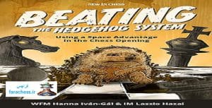 ضرب و شتم سیستم جوجه تیغی - Beating the Hedgehog System