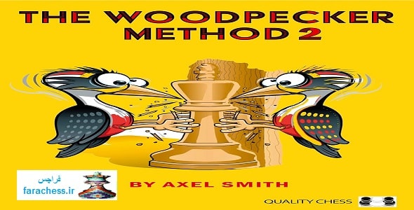 روش دارکوب 2 کتاب تاکتیک و مهارت تصمیم گیری - The Woodpecker Method 2